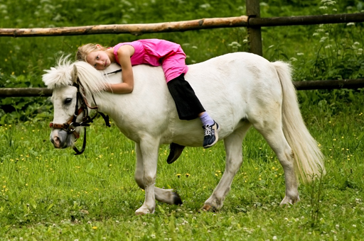 Séjour PEP Attitude : Petits Poney au Naturel